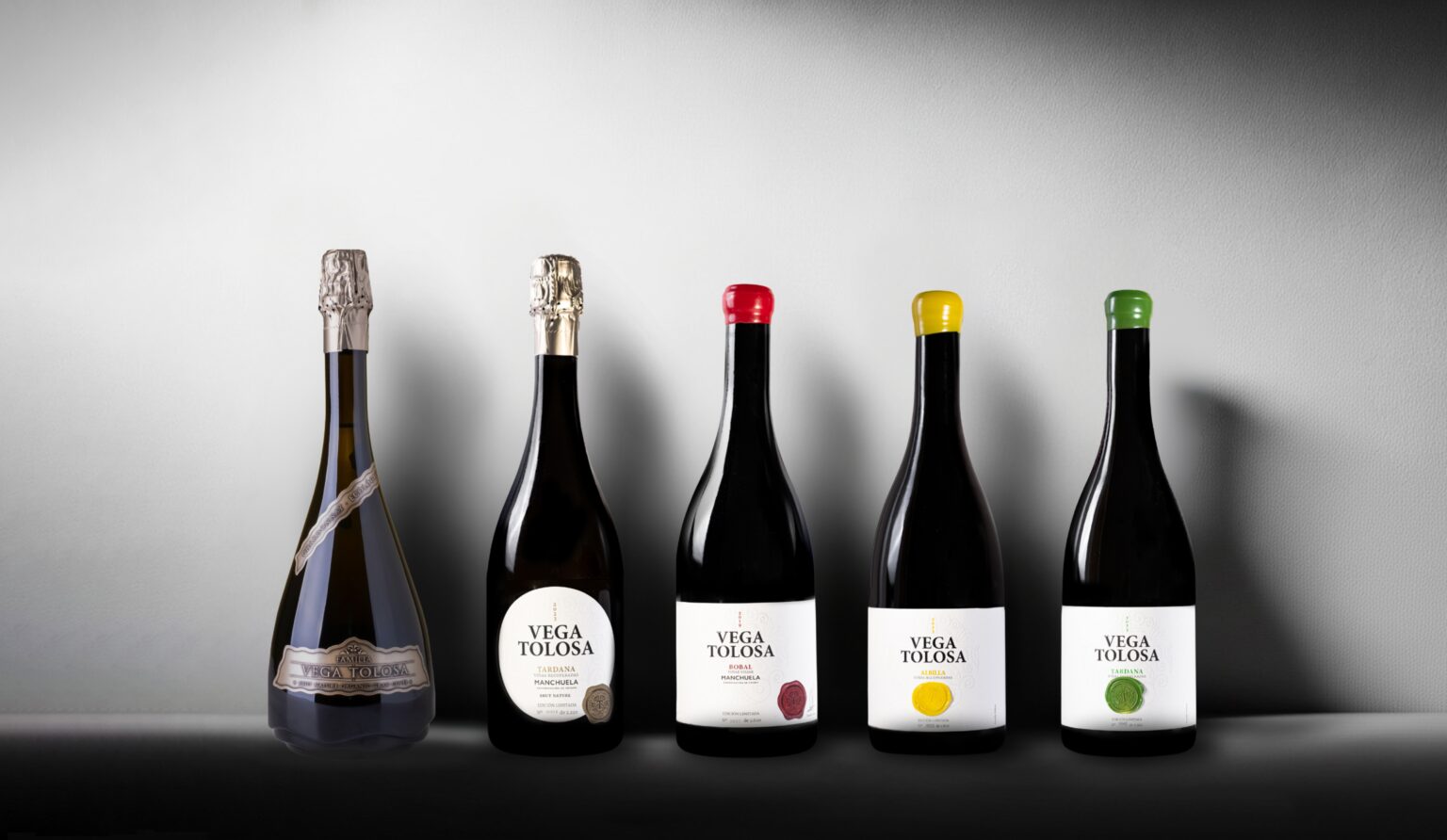 Vega Tolosa Winery